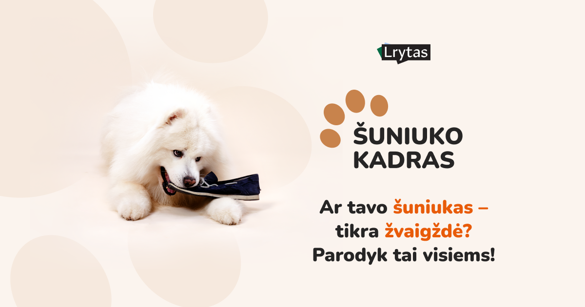 Šuniuko kadras 2025